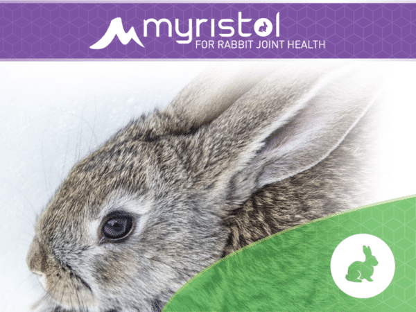 Rabbit Joint Health Supplements - Rabbit Joint Pain | Myristol