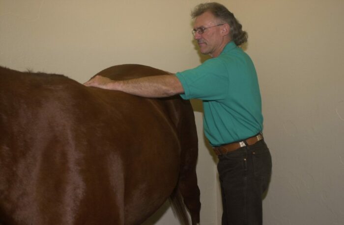 THE BACK SORE HORSE | Myristol Performance Products